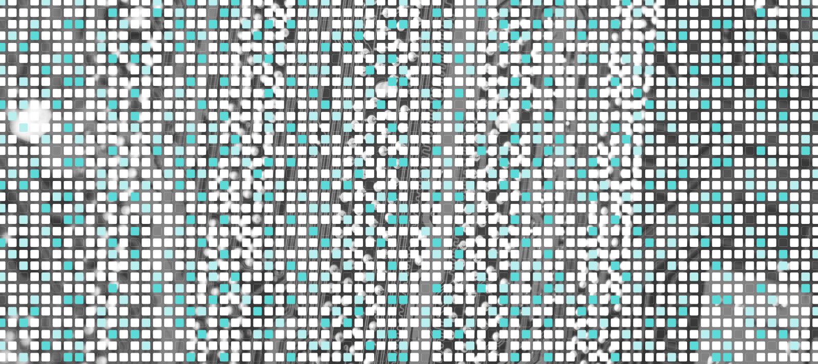 Algorand Foundation CEO Staci Warden on the AllInCrypto Podcast