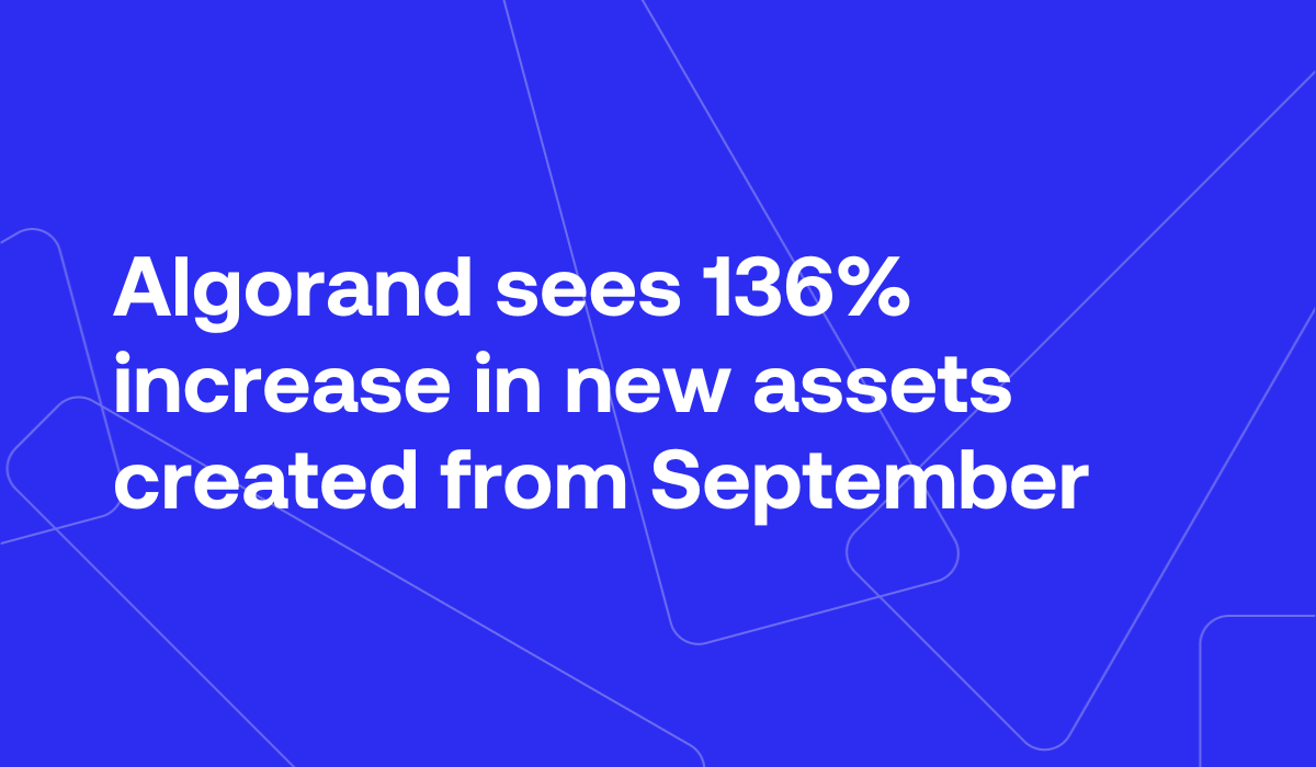 The Algo Insights Report: October 2024