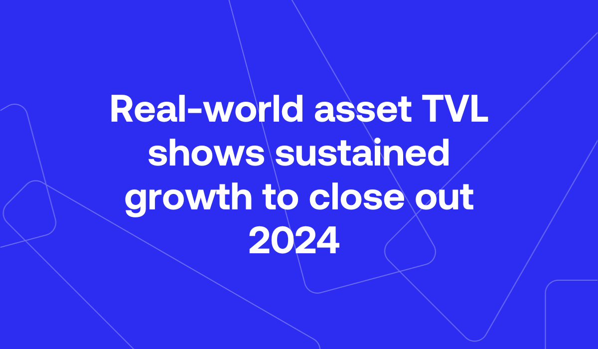 The Algo Insights Report: December 2024