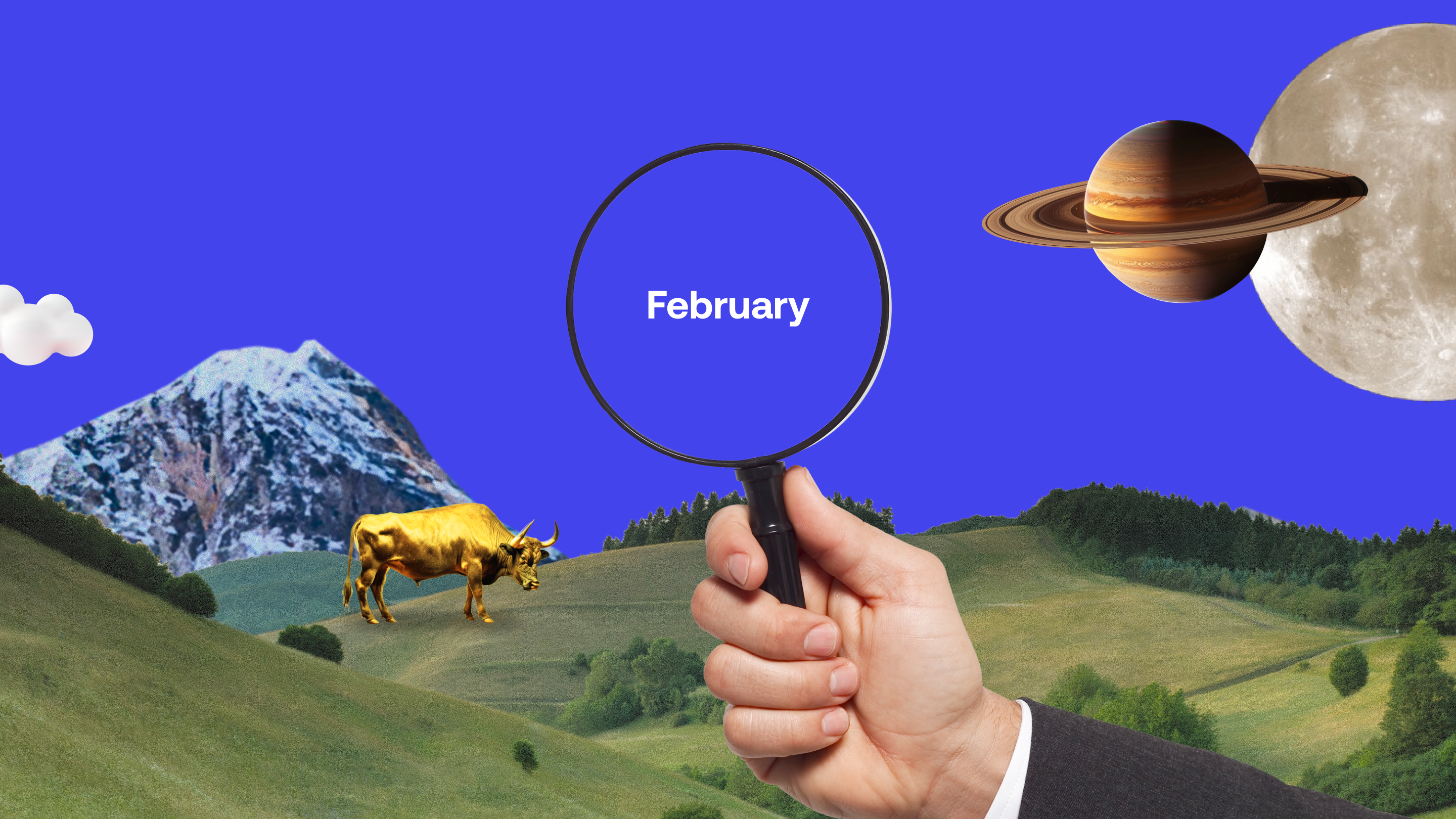February 2026 Algo Insights Report